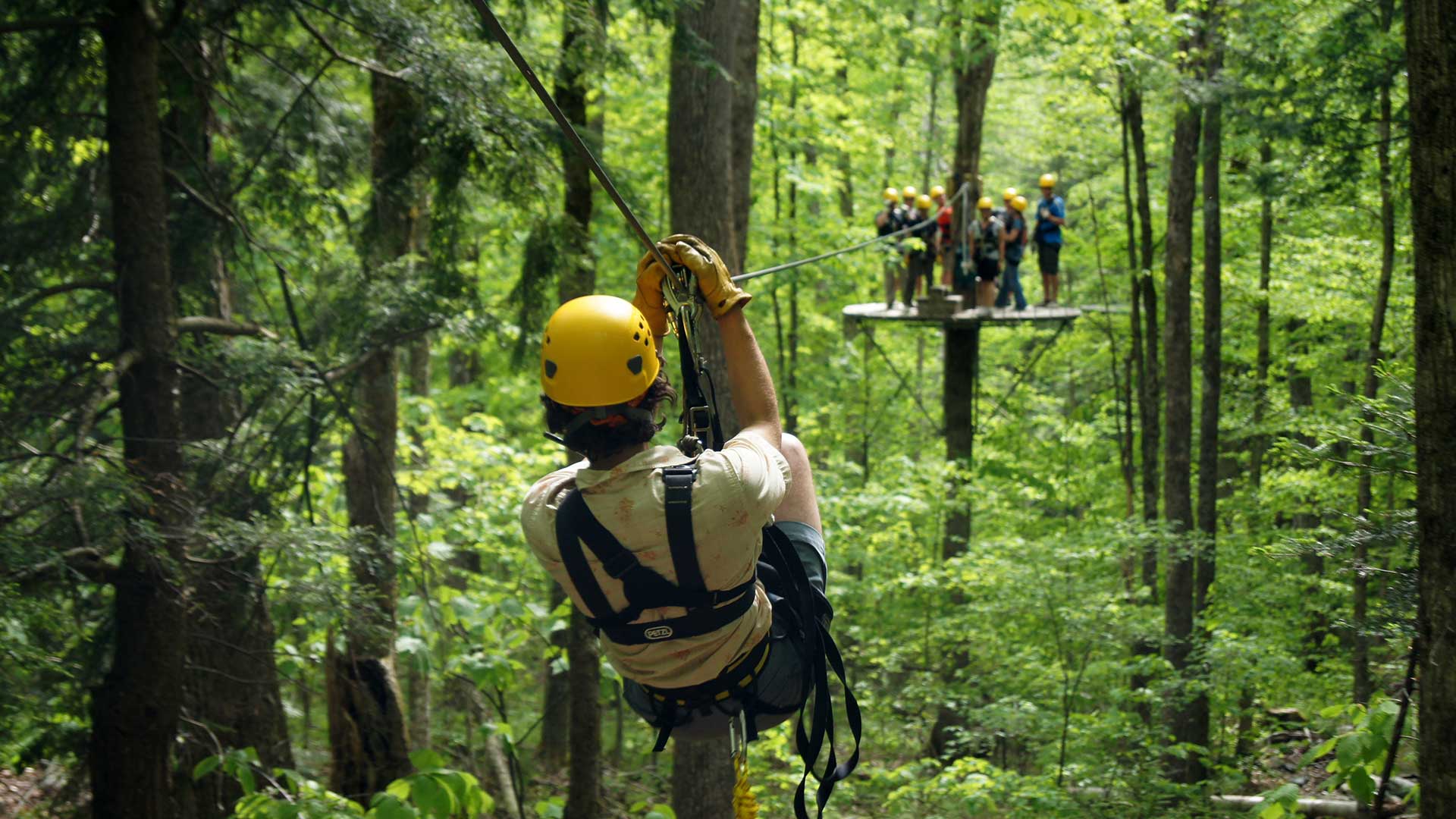 Participant Requirements & Park Policies | ArborTrek Canopy Adventures