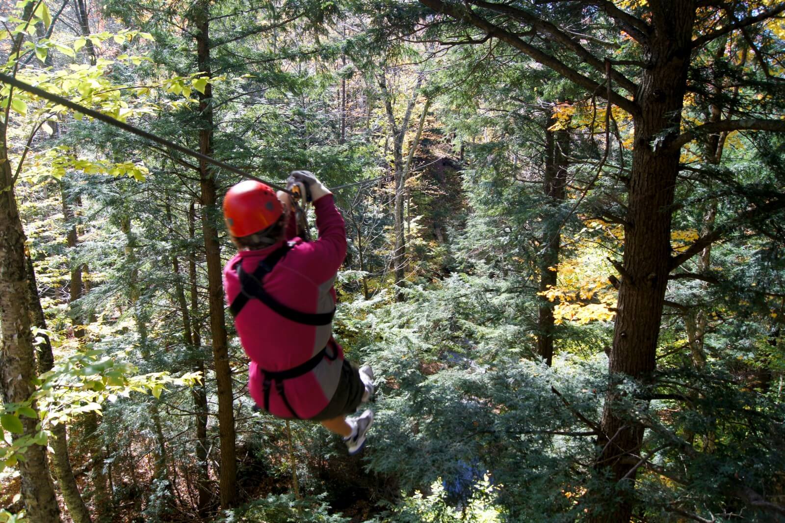 All-Day Adventure | Zipline | Treetop Obstacle Course | Climbing | Vermont